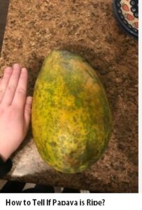 How to Tell If Your Papaya is Ripe? - Color, Ripening Quickly, Stages