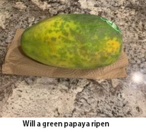 How to Tell If Your Papaya is Ripe? - Color, Ripening Quickly, Stages