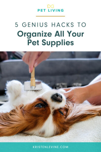 5 Genius Hacks To Make Your Dog Love Bath Time