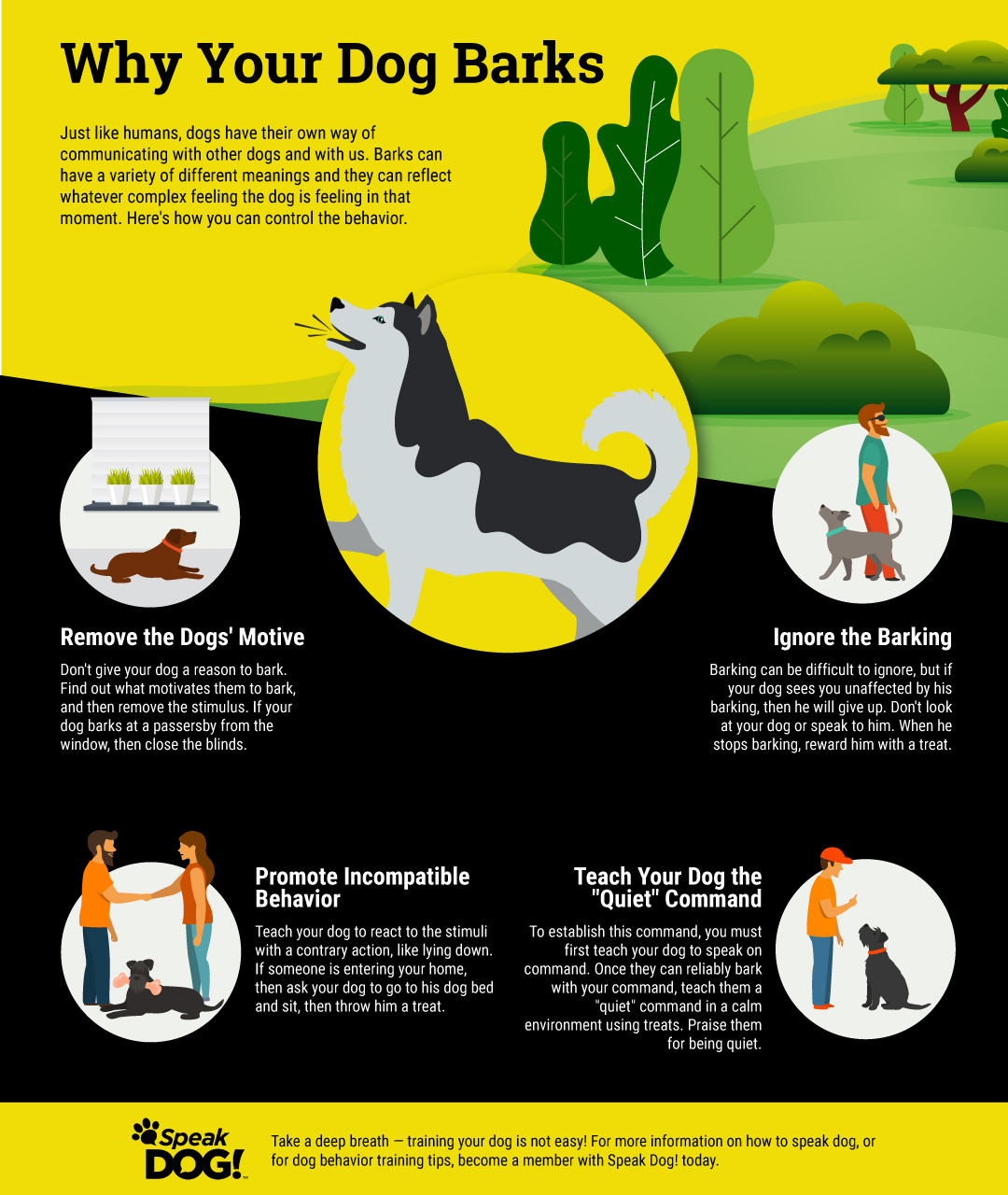 Why Your Dog Barks At Nothing And What It Really Means
