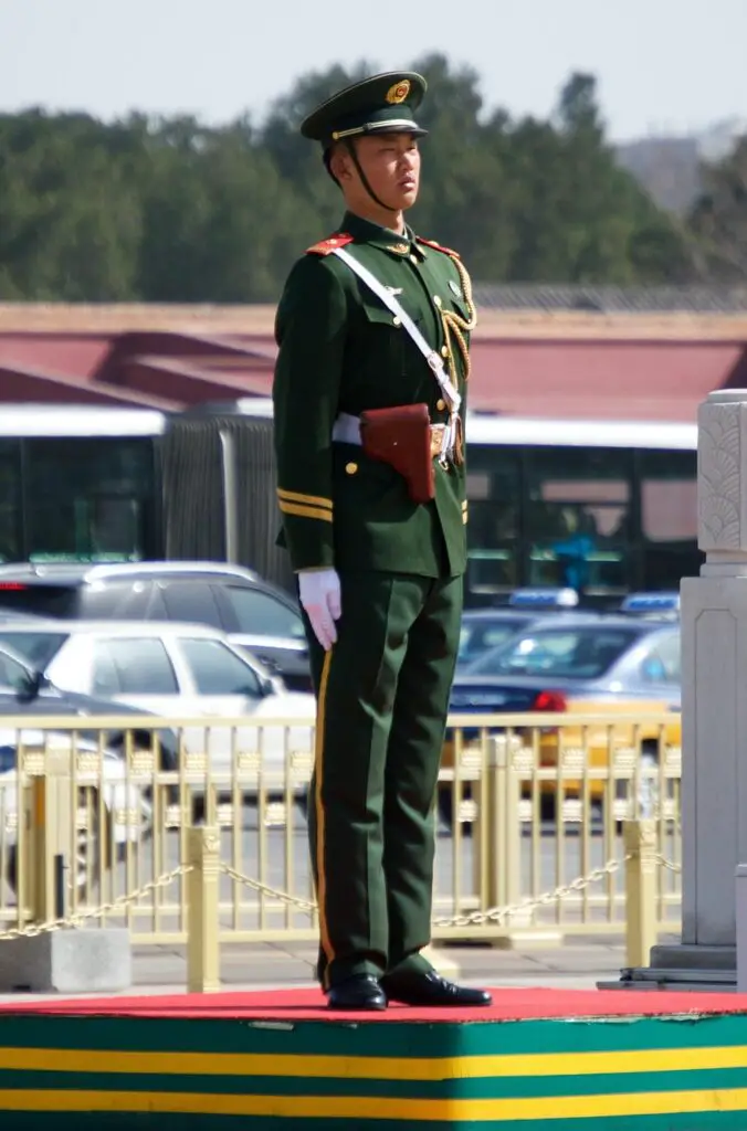 Why You Should Raise the Canopy of Your Trees: Benefits and Techniques