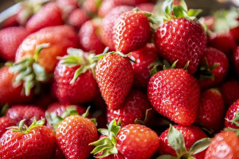 Strawberry Leaves Issues: Identification and Treatment Guide