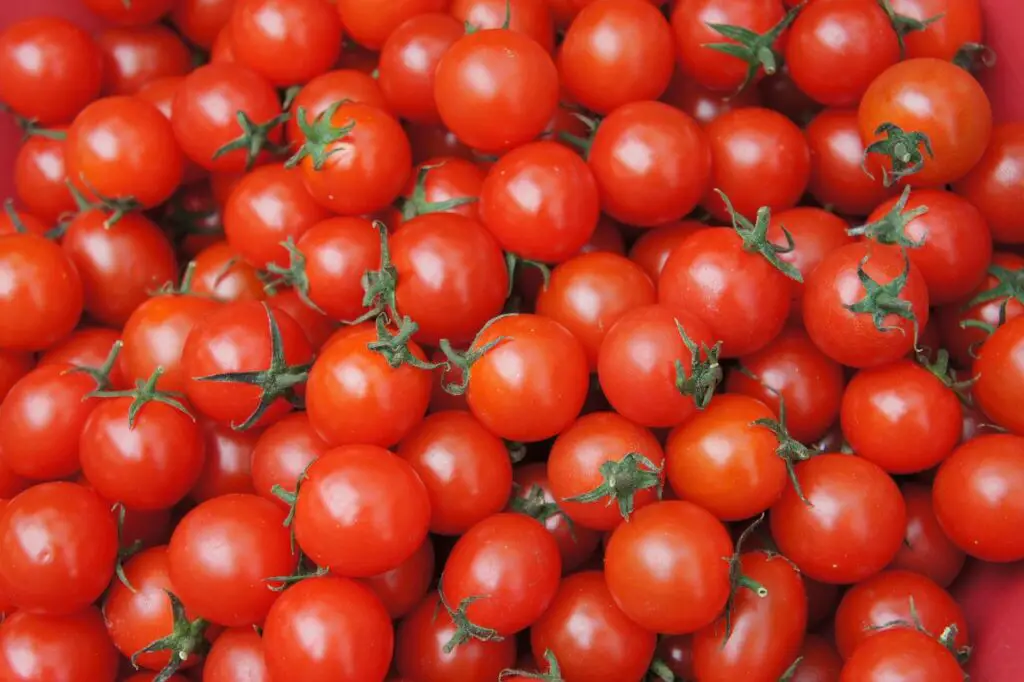Variedades Favoritas de Tomates Cherry: Una Selección de Opciones ...