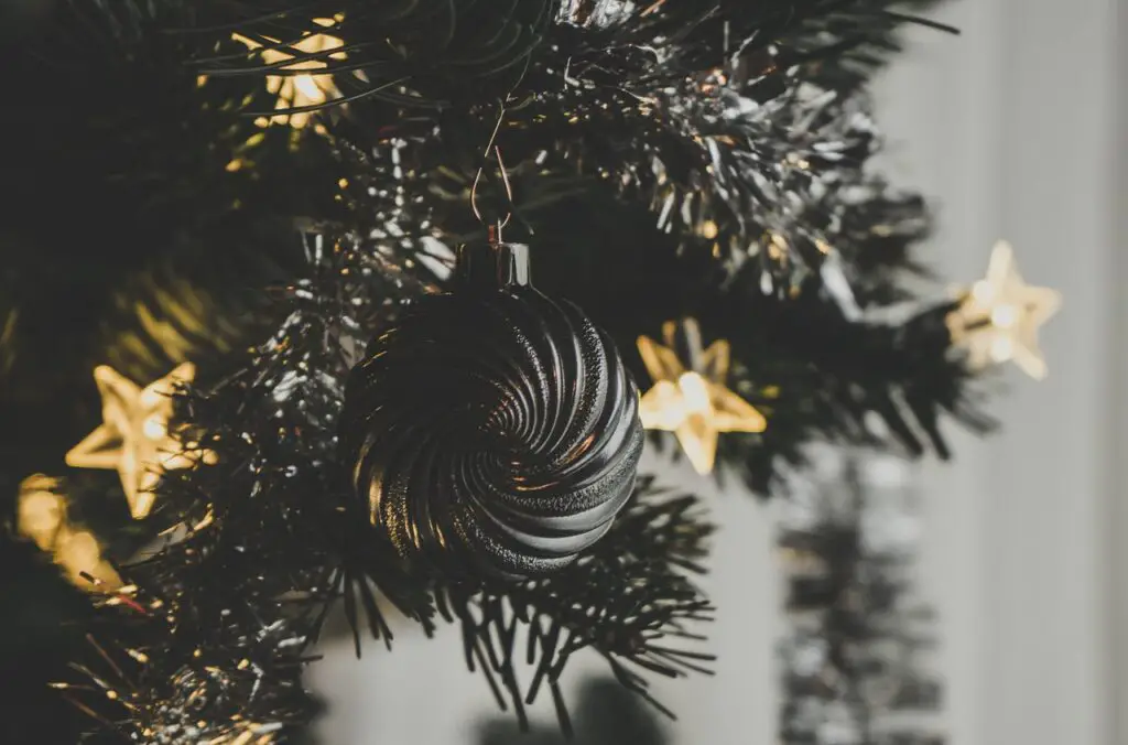 Christmas Tree Growth Rate and Rotational Planting Tips